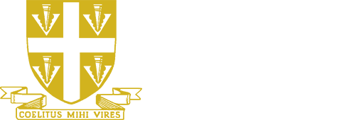 Ranelagh School - Curriculum Organisation